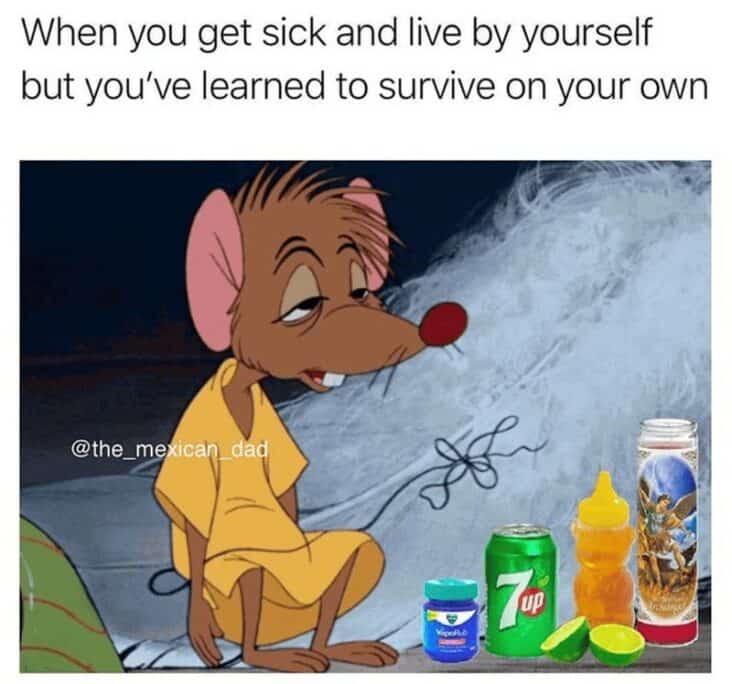 30 Funny Memes About Being Sick To Help You Feel A Little Less Blah