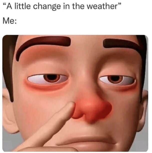 30 Funny Memes About Being Sick To Help You Feel A Little Less Blah