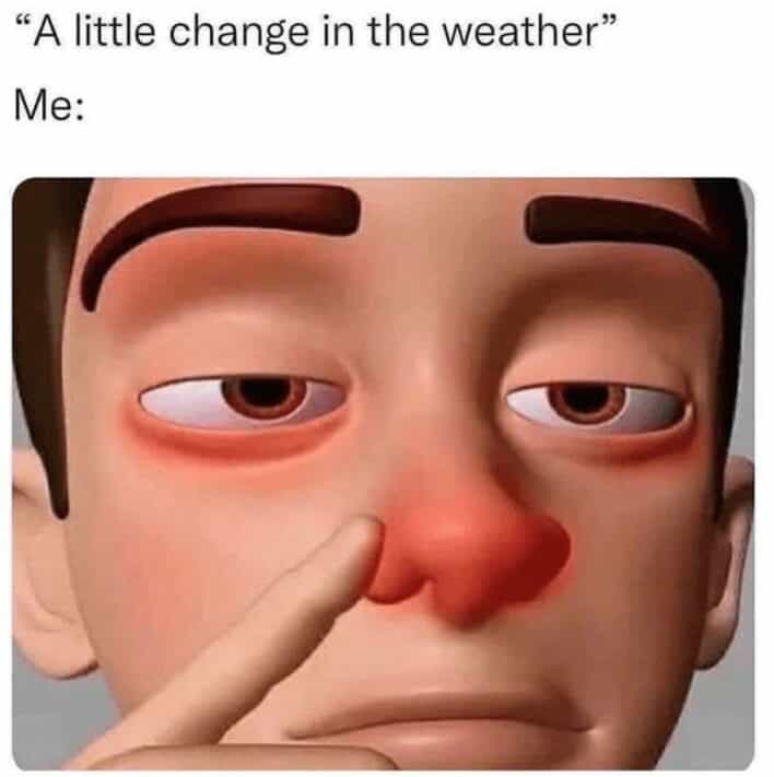 30 Funny Memes About Being Sick To Help You Feel A Little Less Blah