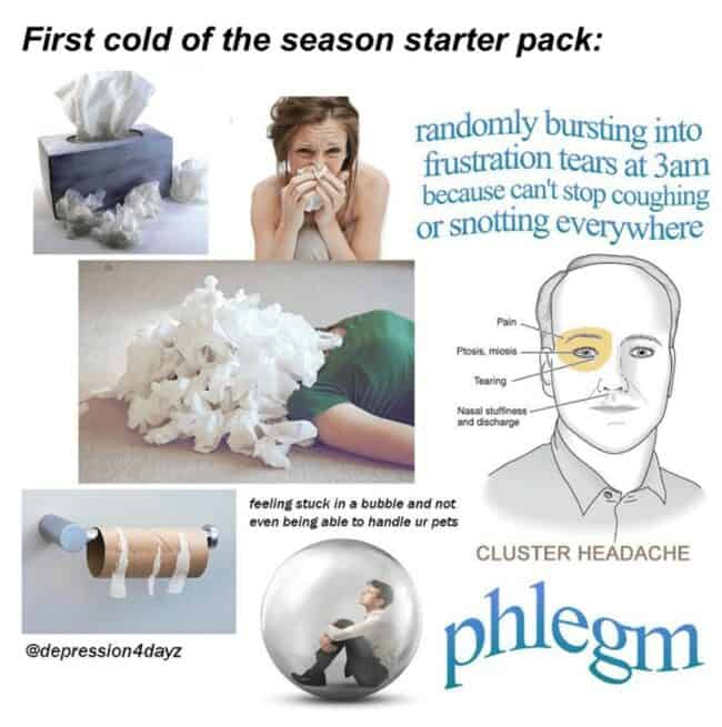 30 Funny Memes About Being Sick To Help You Feel A Little Less Blah