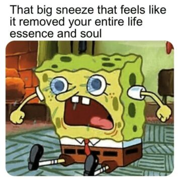 30 Funny Memes About Being Sick To Help You Feel A Little Less Blah