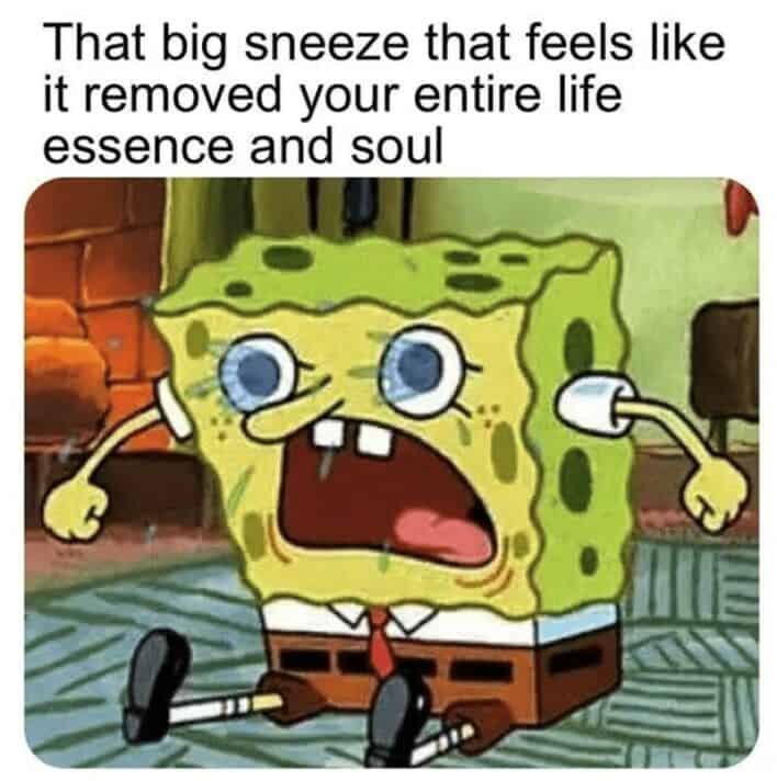 30 Funny Memes About Being Sick To Help You Feel A Little Less Blah