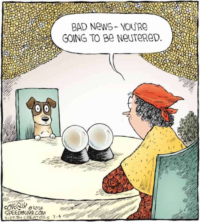 45 Funny Single-Panel Comics From "Speed Bump" Artist Dave Coverly