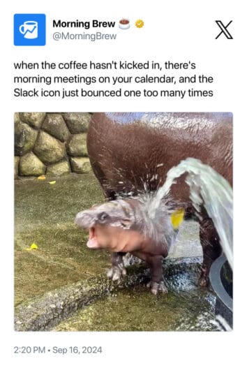 30 Funny Slack Memes For Employees Just Trying To Survive The Endless ...