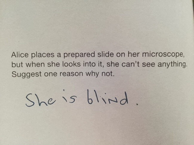 35 Funny Test Fails From Students Who Got The Answers Wrong But Nailed ...