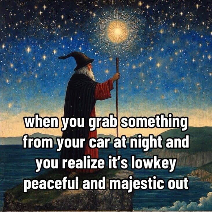 30 Whimsical And Funny Wizard Memes From "Golden Frog Inn" That'll Put ...