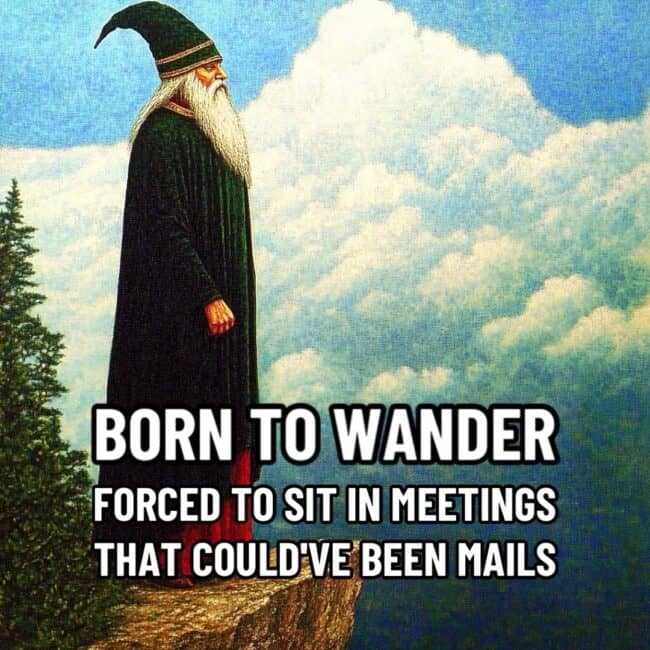 30 Whimsical And Funny Wizard Memes From "Golden Frog Inn" That'll Put ...
