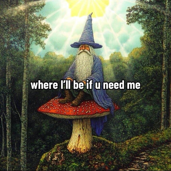 30 Whimsical And Funny Wizard Memes From "Golden Frog Inn" That'll Put ...