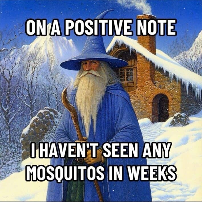 30 Whimsical And Funny Wizard Memes From "Golden Frog Inn" That'll Put ...