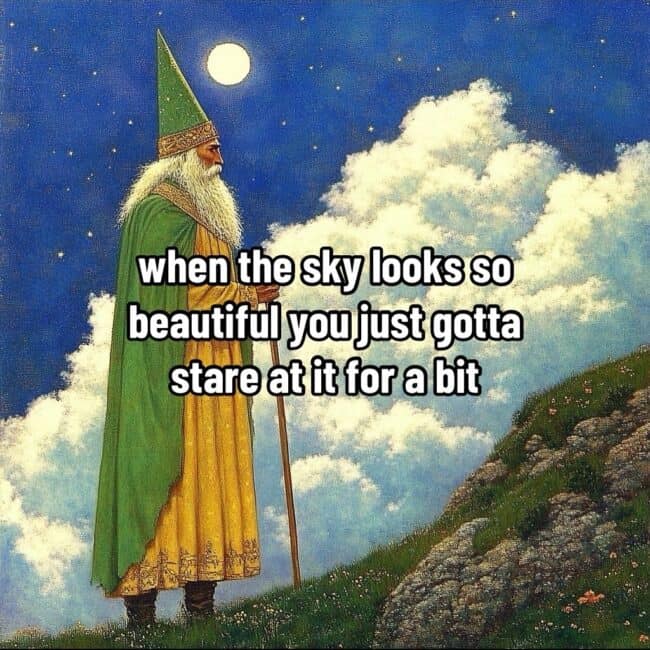 30 Whimsical And Funny Wizard Memes From "Golden Frog Inn" That'll Put ...