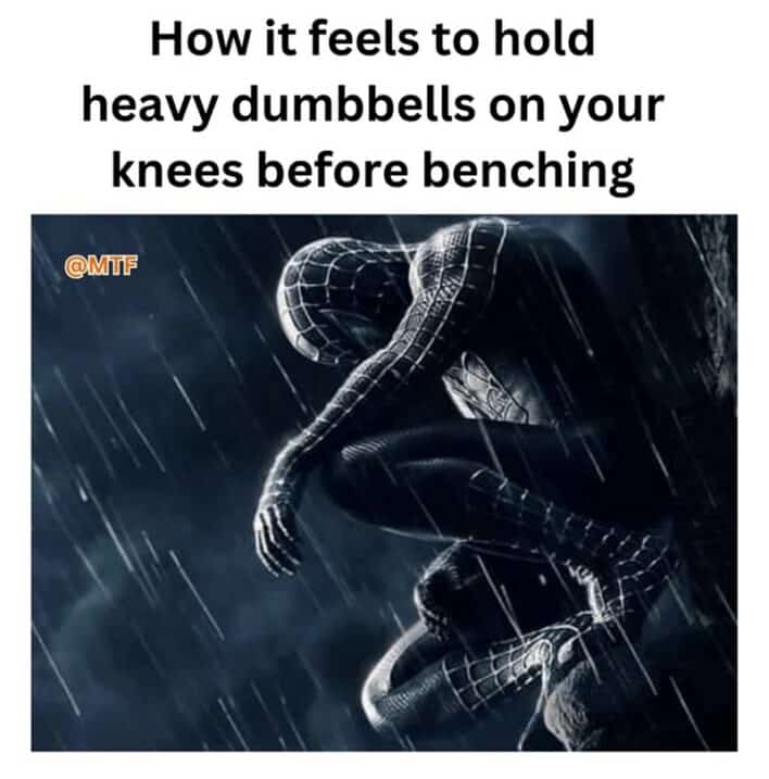 40 Funniest Workout Memes Posting Maximum Gains This Week