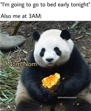 40 Introvert Panda Memes That Are Perfect For Quietly Scrolling Under ...