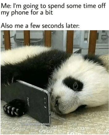 40 Introvert Panda Memes That Are Perfect For Quietly Scrolling Under ...
