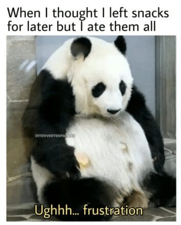 40 Introvert Panda Memes That Are Perfect For Quietly Scrolling Under ...