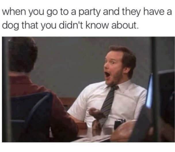 32 Late-Night Memes That Are The Perfect Bedtime Distraction