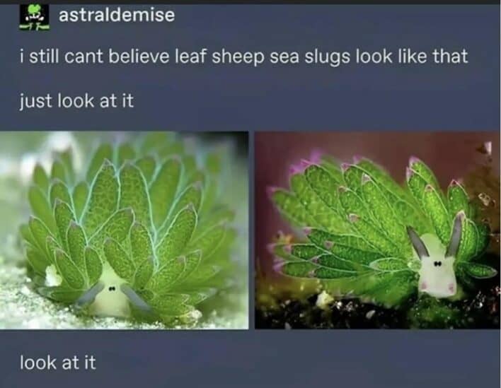 35 Late-Night Memes Perfect For An Evening Scroll