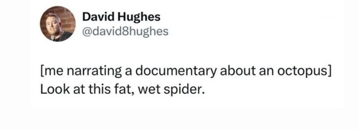 35 Late-Night Memes Perfect For An Evening Scroll