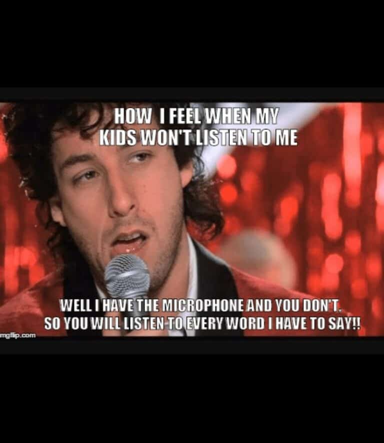 40 Nostalgic Adam Sandler Memes From Some Of The Best Comedies Ever Made