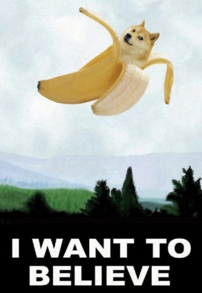 42 Nostalgic Doge Memes From When The Internet Was Just Innocent Jokes