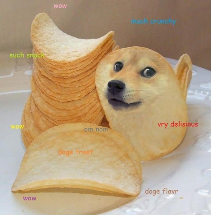 42 Nostalgic Doge Memes From When The Internet Was Just Innocent Jokes