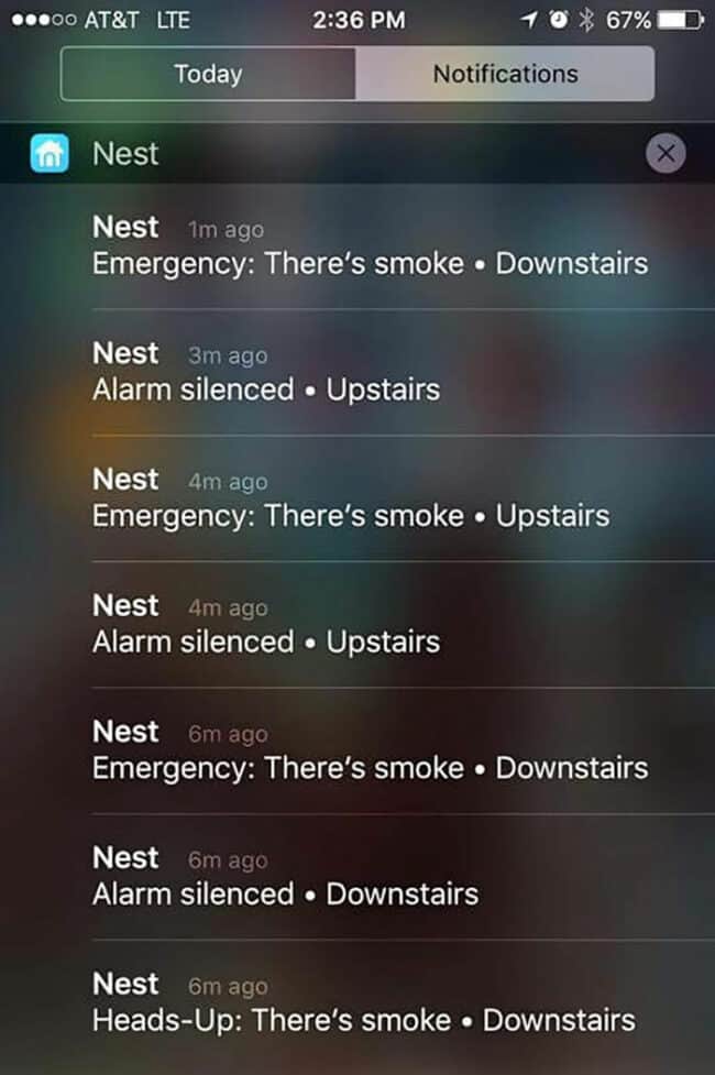 46 Hilarious Thanksgiving Food Disasters That Prove That Turkey Day Isn ...