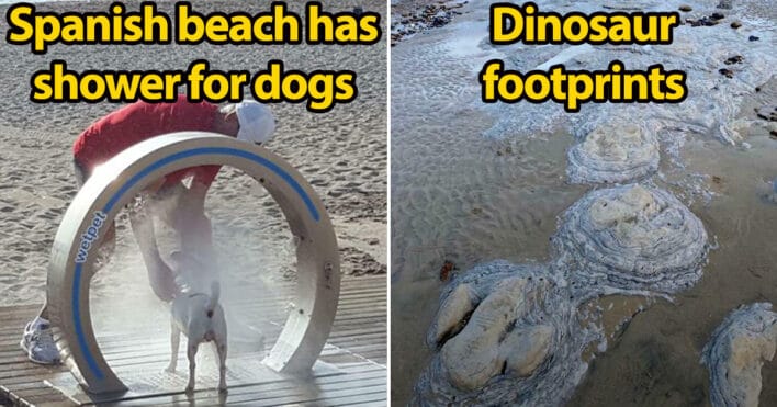 35 Beach Finds So Weird And Interesting People Just Had To Share Them ...
