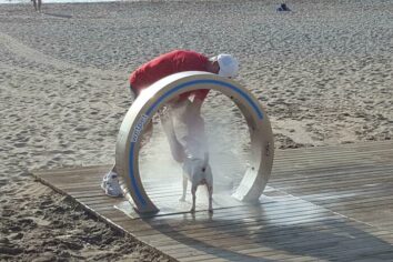 35 Beach Finds So Weird And Interesting People Just Had To Share Them ...