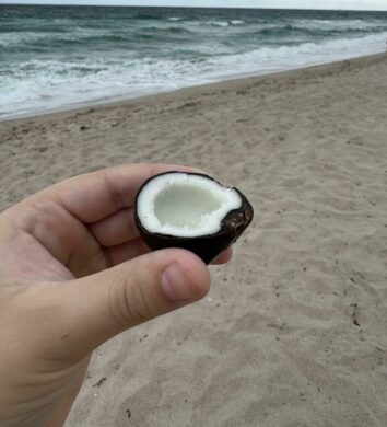35 Beach Finds So Weird And Interesting People Just Had To Share Them ...