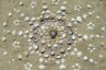 35 Beach Finds So Weird And Interesting People Just Had To Share Them ...