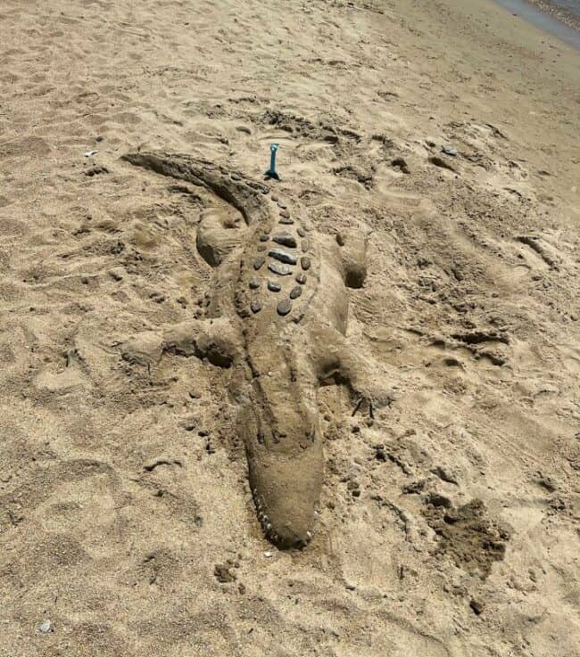 35 Beach Finds So Weird And Interesting People Just Had To Share Them ...