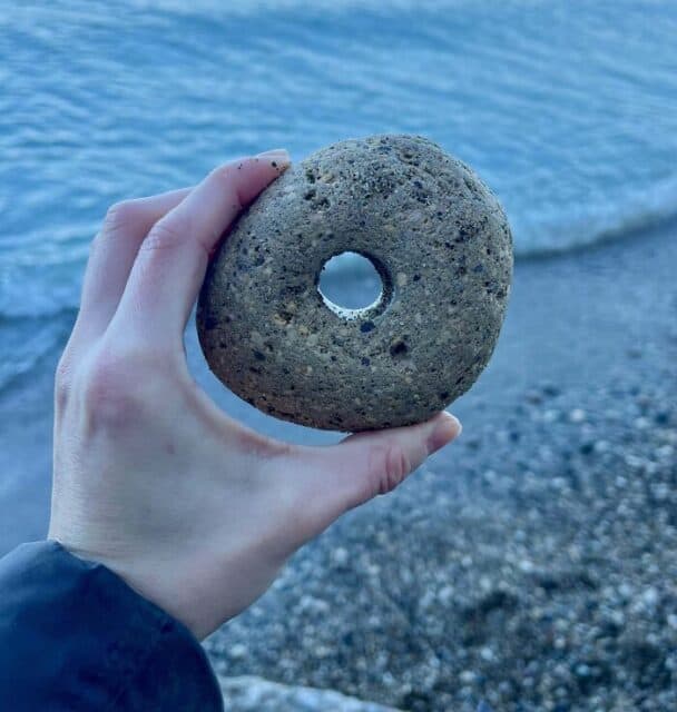 35 Beach Finds So Weird And Interesting People Just Had To Share Them ...