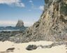 35 Beach Finds So Weird And Interesting People Just Had To Share Them ...