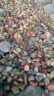 35 Beach Finds So Weird And Interesting People Just Had To Share Them ...