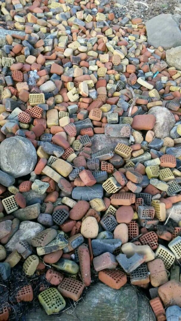 35 Beach Finds So Weird And Interesting People Just Had To Share Them ...