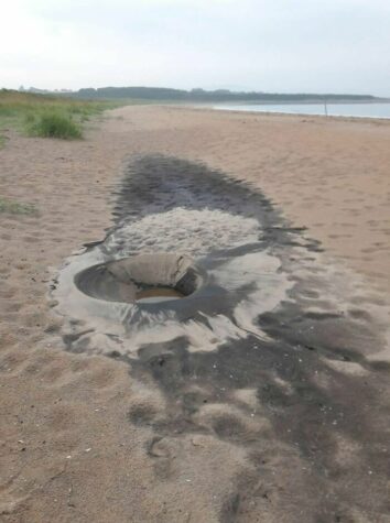 35 Beach Finds So Weird And Interesting People Just Had To Share Them ...