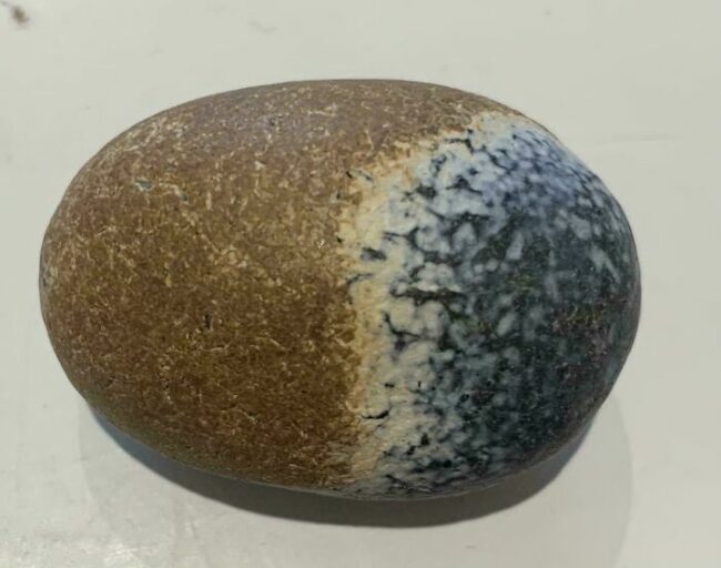 35 Beach Finds So Weird And Interesting People Just Had To Share Them ...