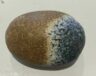 35 Beach Finds So Weird And Interesting People Just Had To Share Them ...