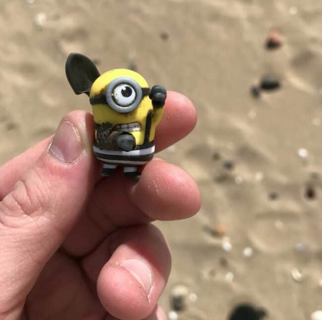 35 Beach Finds So Weird And Interesting People Just Had To Share Them ...