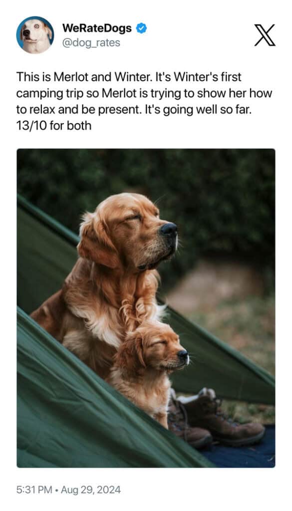 35 Hilariously Adorable Dog Ratings From 'WeRateDogs' That Are Off The ...