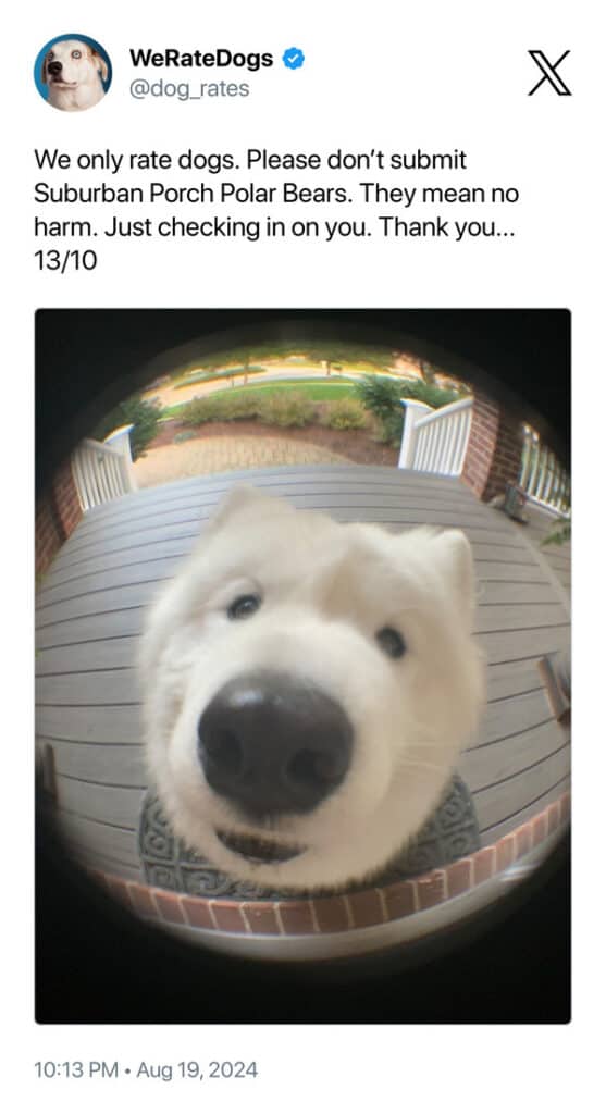 35 Hilariously Adorable Dog Ratings From 'WeRateDogs' That Are Off The ...