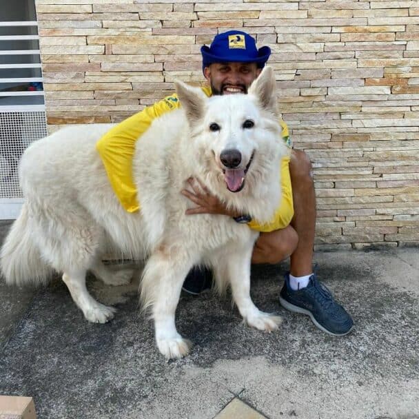 50 Wholesome Pictures Of This Mailman Taking Selfies With The Pets On ...