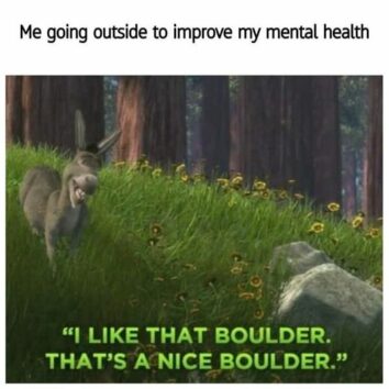 45 Wholesome Memes From "Very Important Positivity" That'll Make Your ...