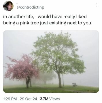 45 Wholesome Memes From "Very Important Positivity" That'll Make Your ...