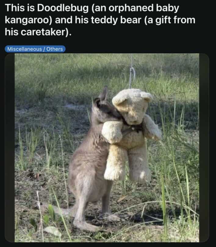 25 Amazing Posts That Hit Us Right In The Feels Today (December 6, 2024)