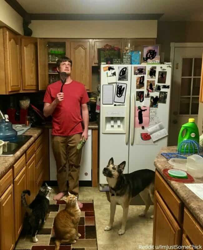 30 Awkward Family Photos That Nailed The Art Of Unintentional Comedy ...