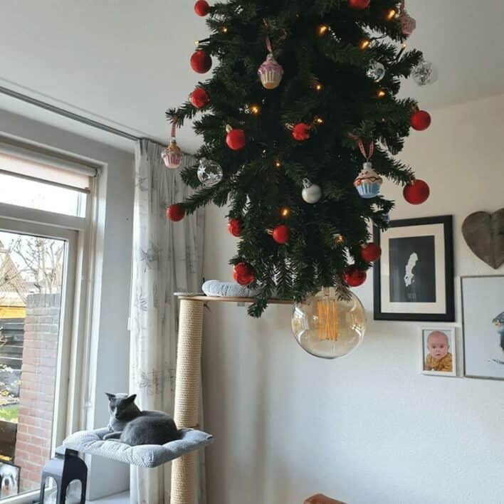 20 Hilariously Claw-Some Ways People Cat-Proofed Their Christmas Trees ...