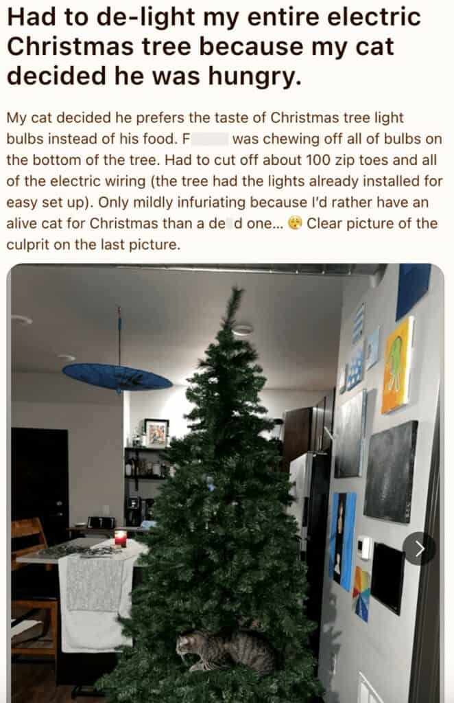 33 Funny Christmas Tree Fails That Make Charlie Brown's Tree Look Like ...