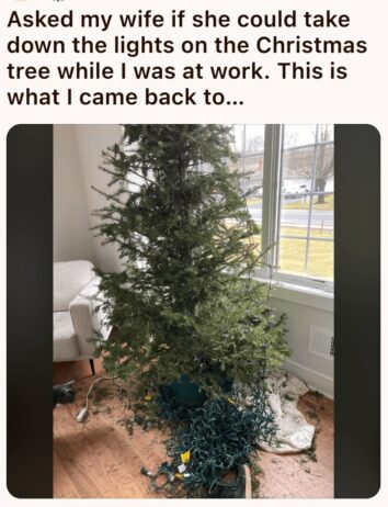 33 Funny Christmas Tree Fails That Make Charlie Brown's Tree Look Like ...