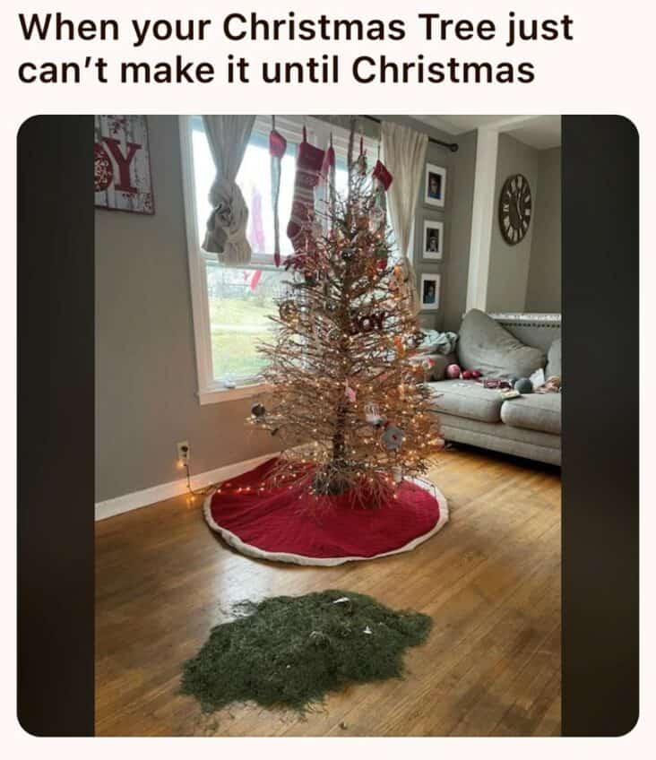 33 Funny Christmas Tree Fails That Make Charlie Brown's Tree Look Like ...