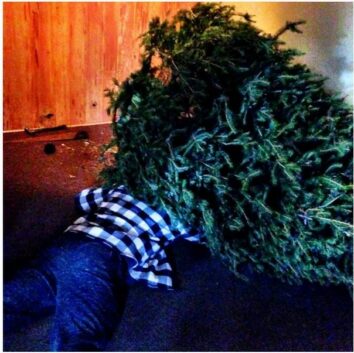 33 Funny Christmas Tree Fails That Make Charlie Brown's Tree Look Like ...